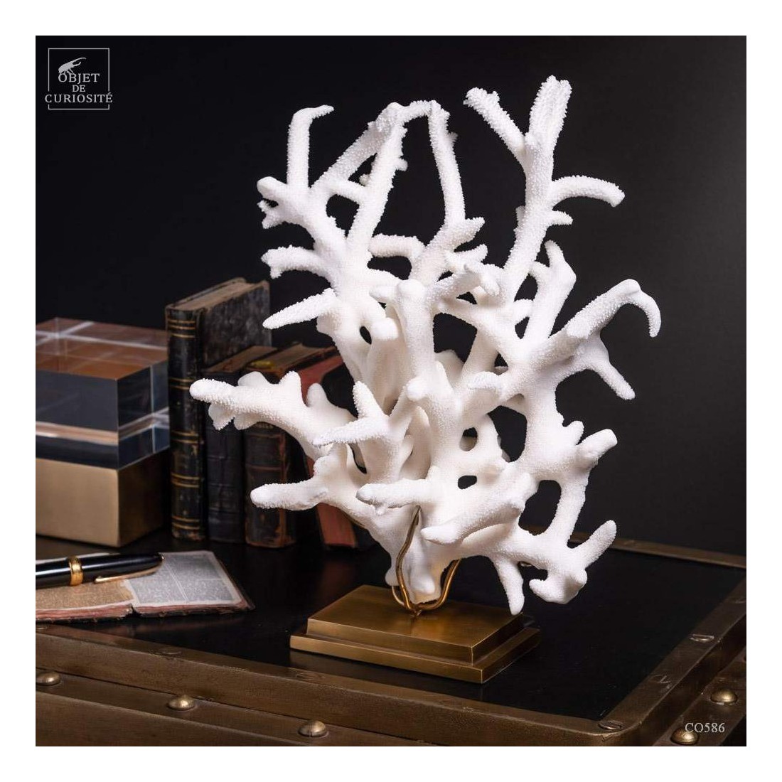 Corail blanc staghorn - ACROPORA NOBILIS- sur base laiton