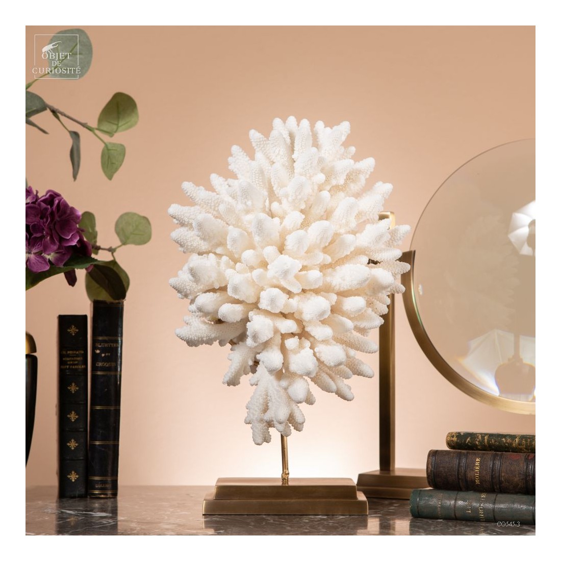 Corail blanc Finger ACROPORA HUMILIS sur LAITON