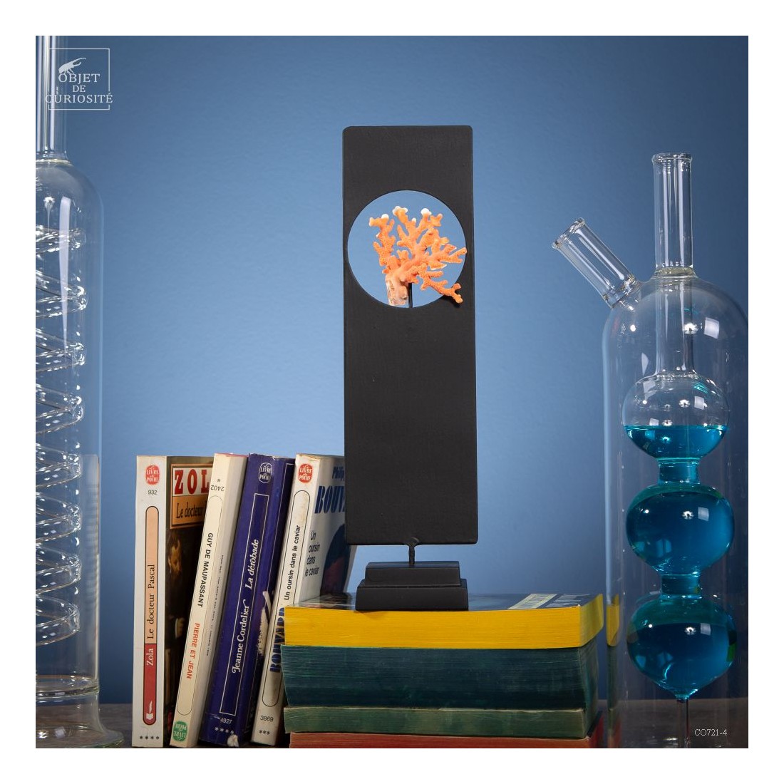 Natural orange coral of Madagascar -DISTICHOPORA SP-