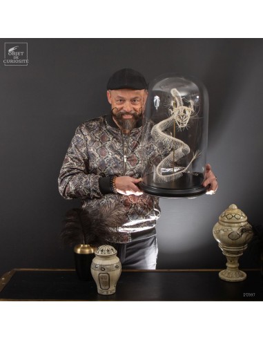 Skeleton of a Dragon-chimera