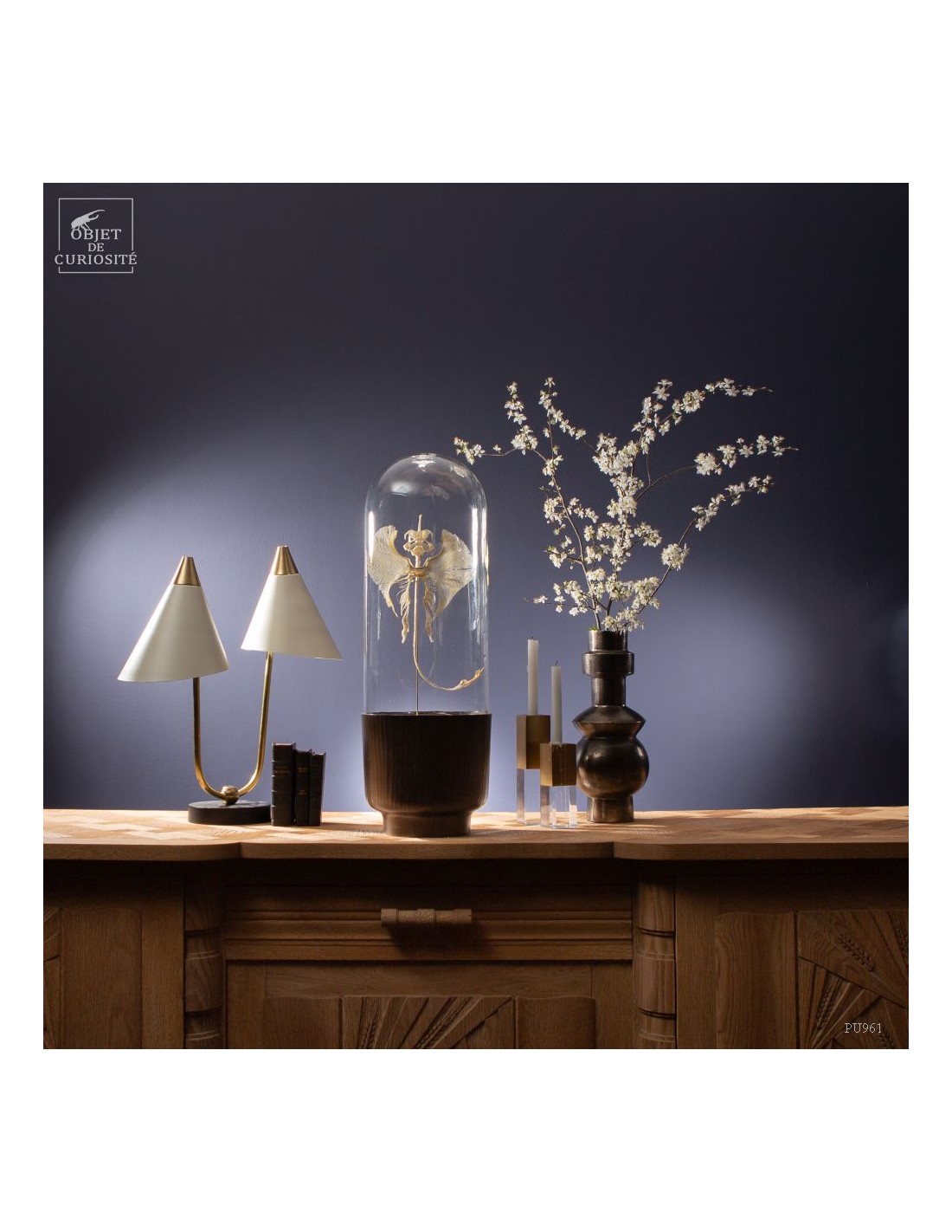 Squelette de raie sous globe gélule