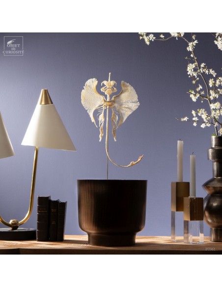 Squelette de raie sous globe gélule