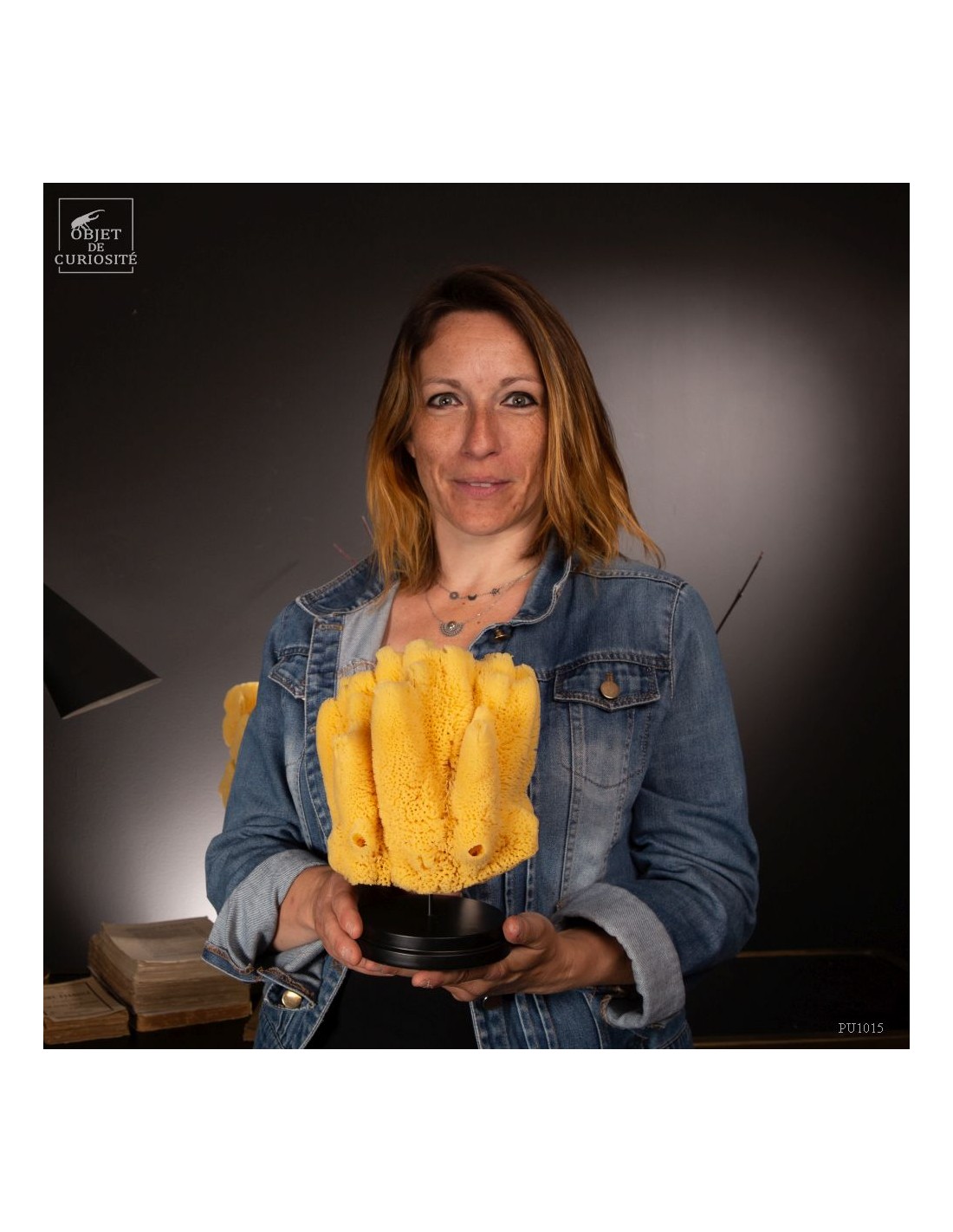 Hardhead sponge on black base