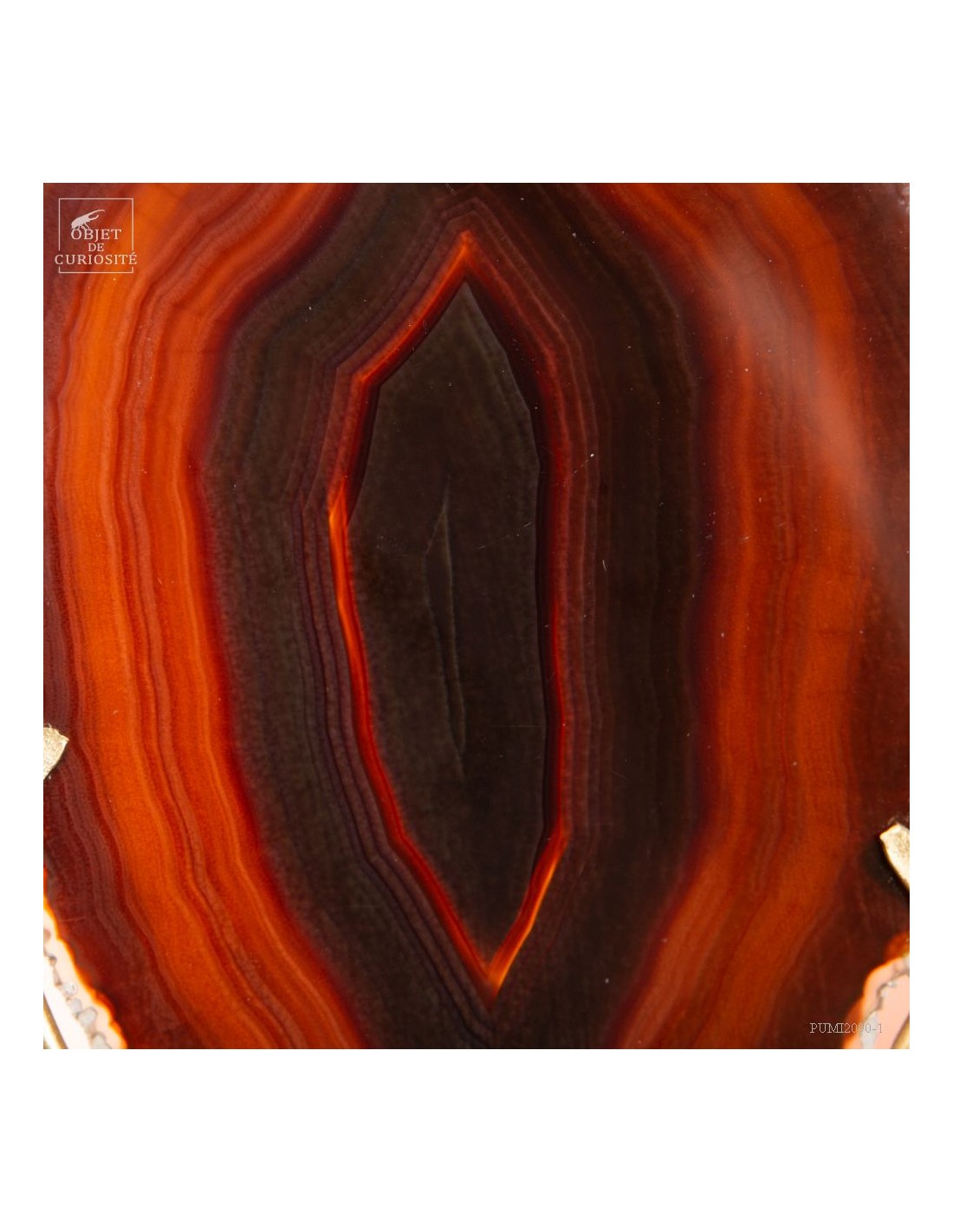 Agate slice