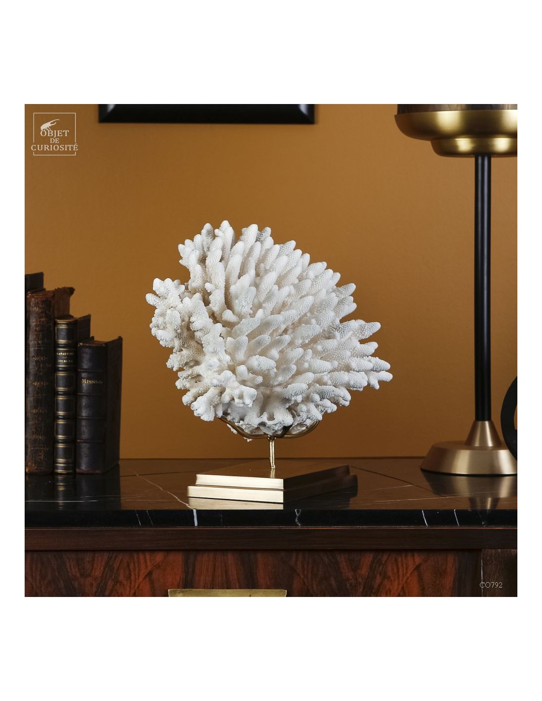 Corail blanc Finger ACROPORA HUMILIS sur laiton