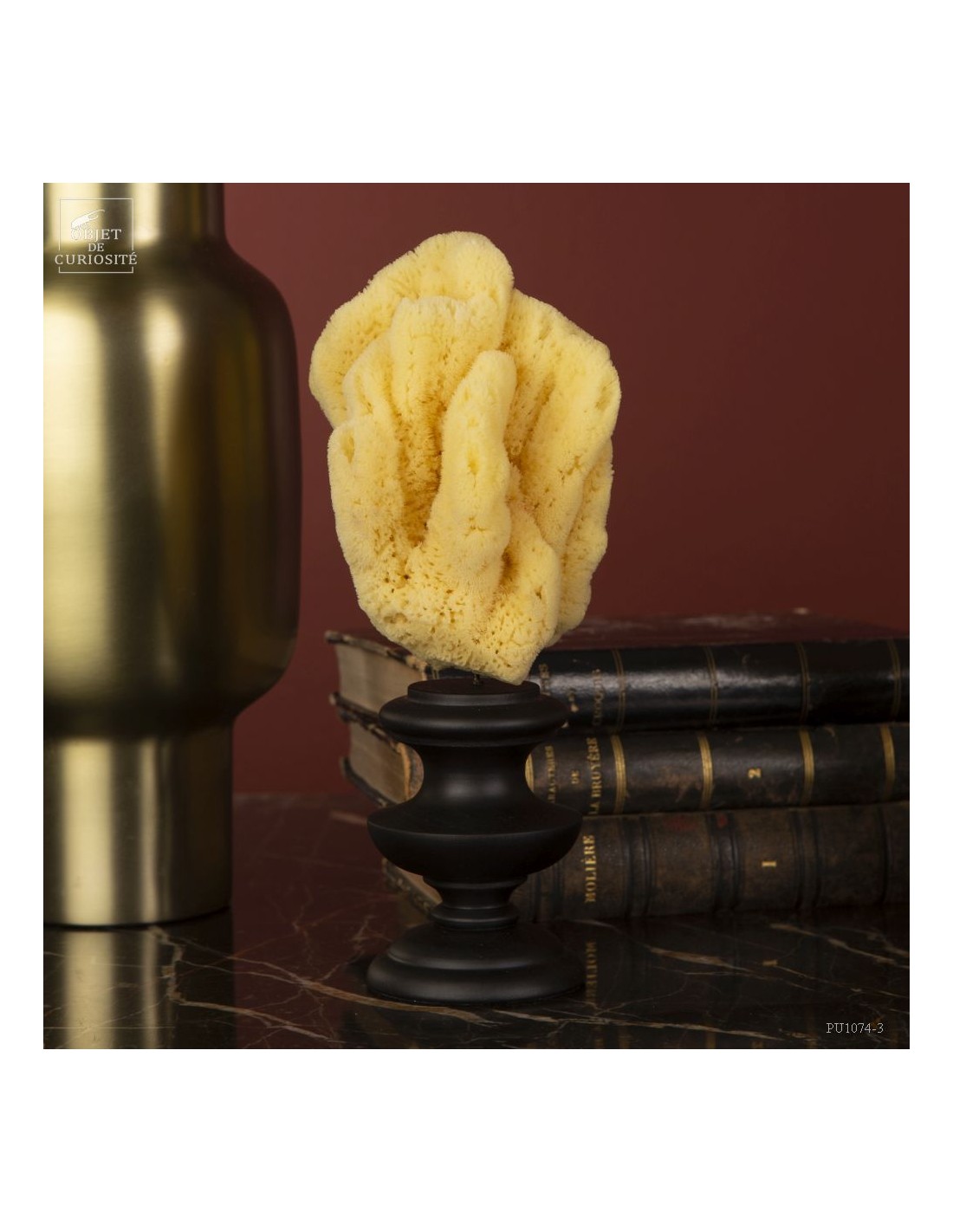 Hardhead sponge on black base