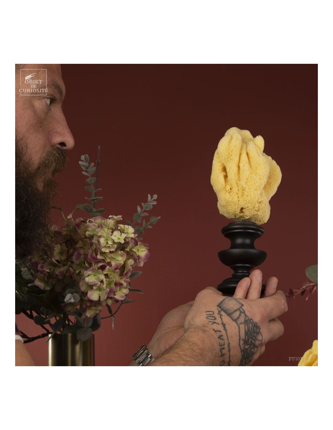 Hardhead sponge on black base