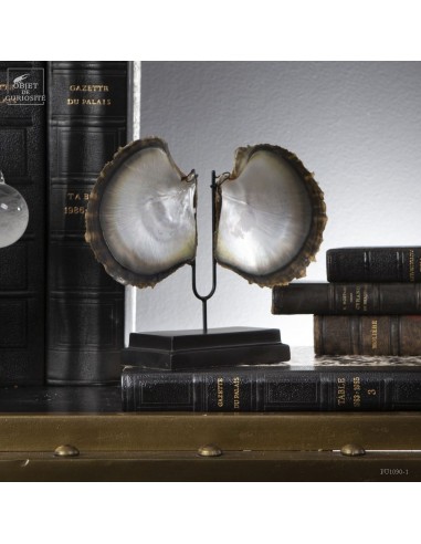 Huitre perlière brute complète -PINCTADA RADIATA-