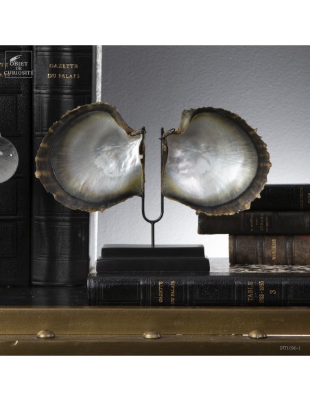 Full Raw Pearl Oyster -PINCTADA RADIATA- on black base