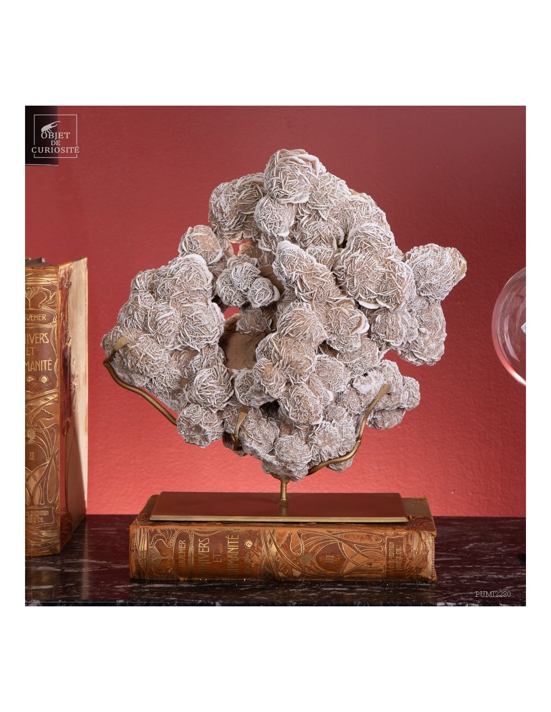 Rose des sables du Mexique (8.5kg)