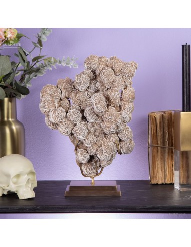 Rose des sables du Mexique (5KG)