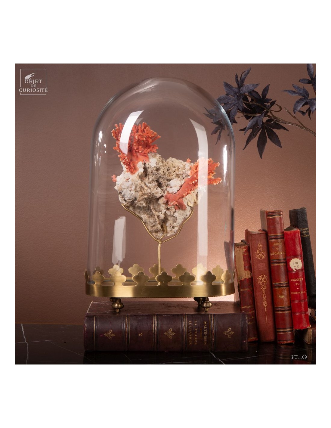 Colored coral from Madagascar -Distichopora spp.- (1kg)