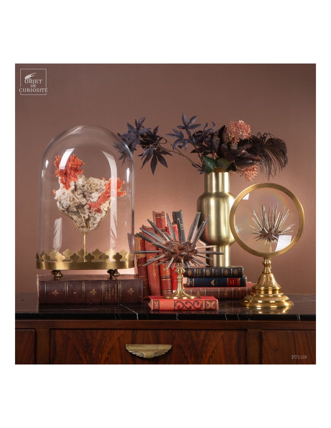 Colored coral from Madagascar -Distichopora spp.- (1kg)