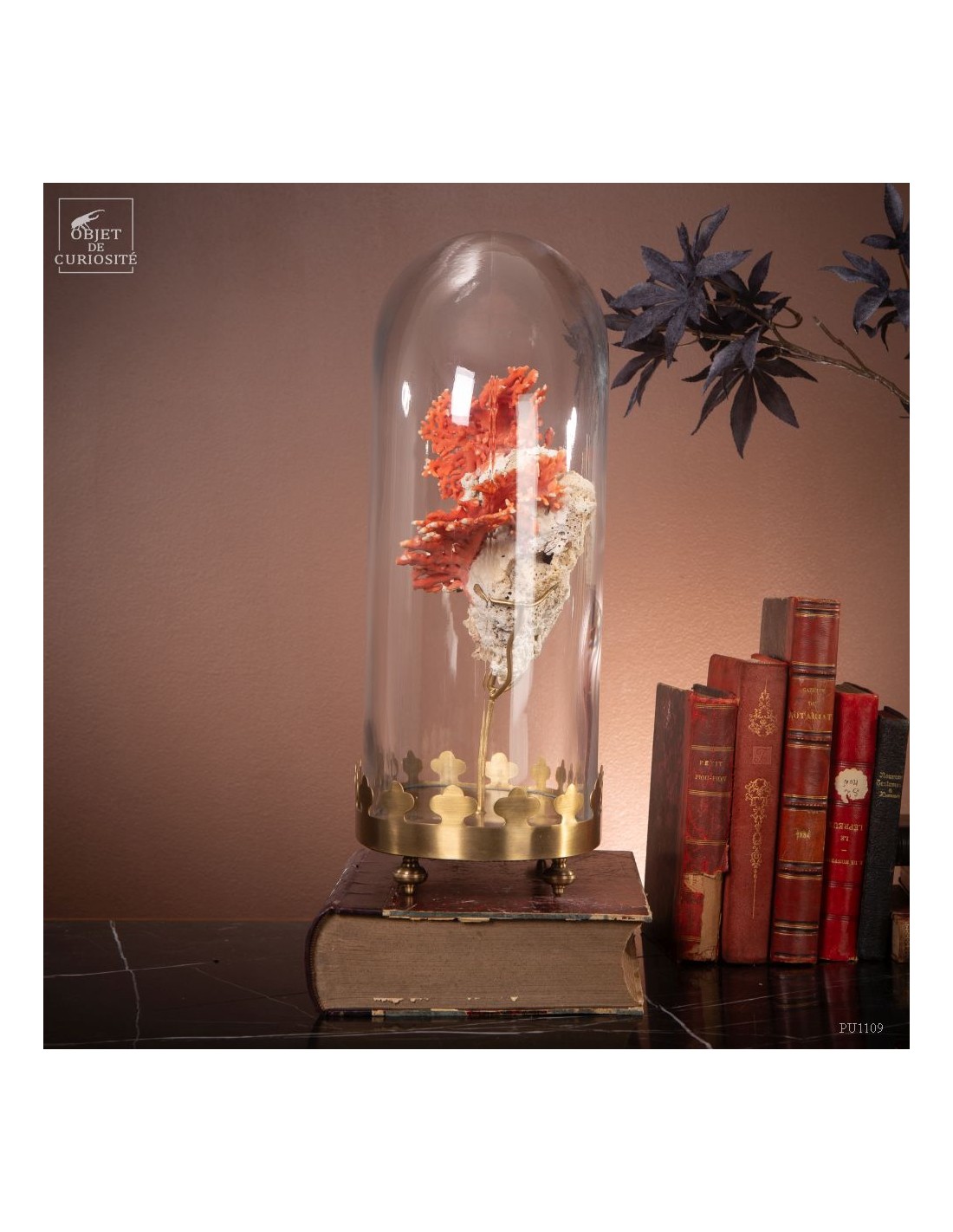 Colored coral from Madagascar -Distichopora spp.- (1kg)