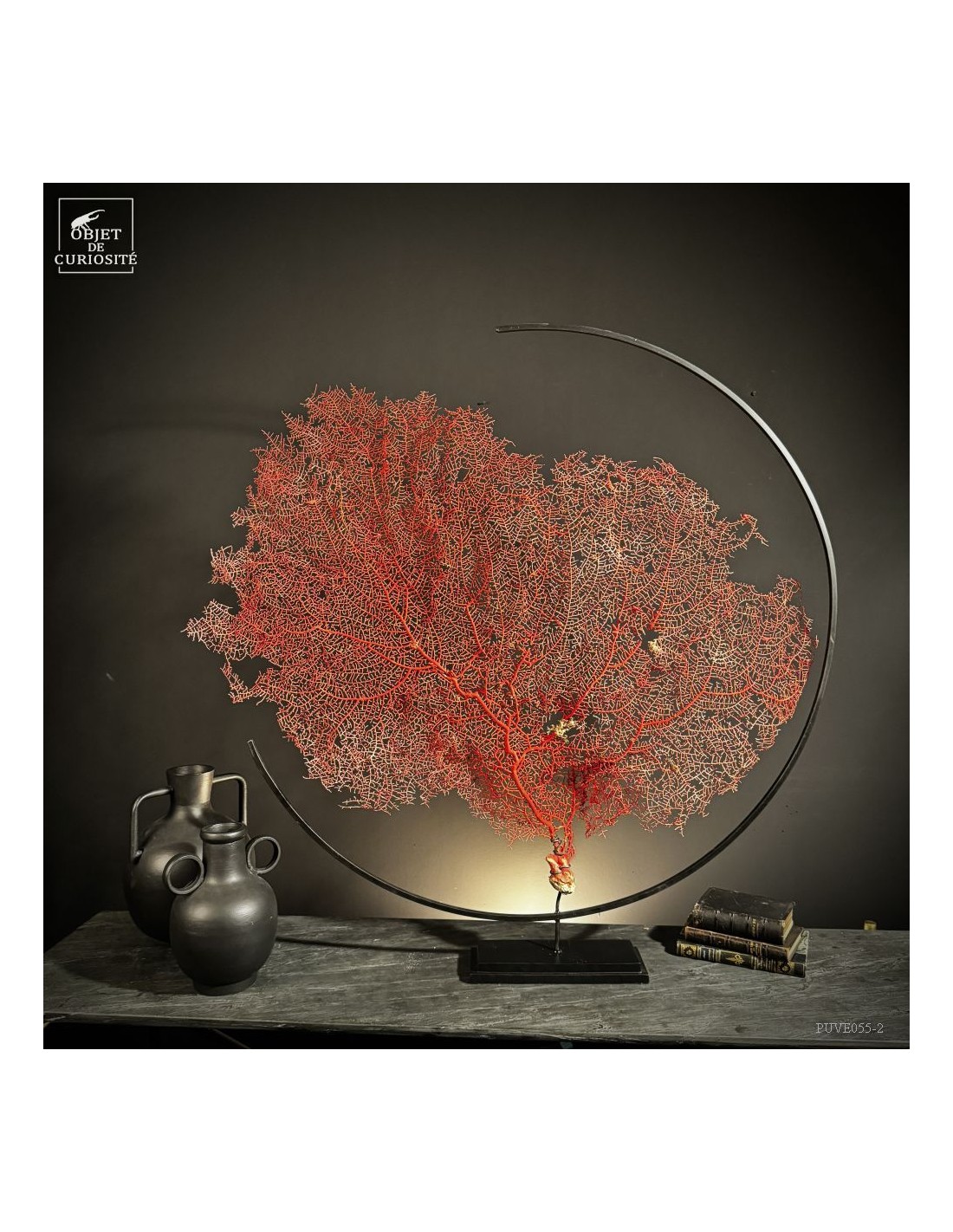 Bright red gorgonian in metal circle